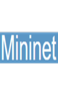 Mininet Projects